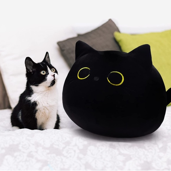 Toys | Black Cat Plush Pillowsoft Toy | Poshmark